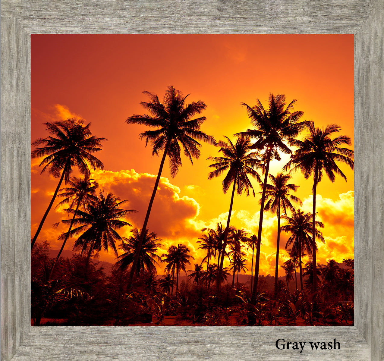 Palms on Fire - Square – Wowza Wall Art